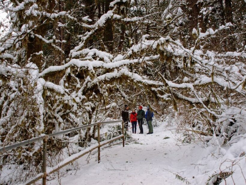 Seattle: Longmire in Mount Rainier Winter Day Tour - FAQ