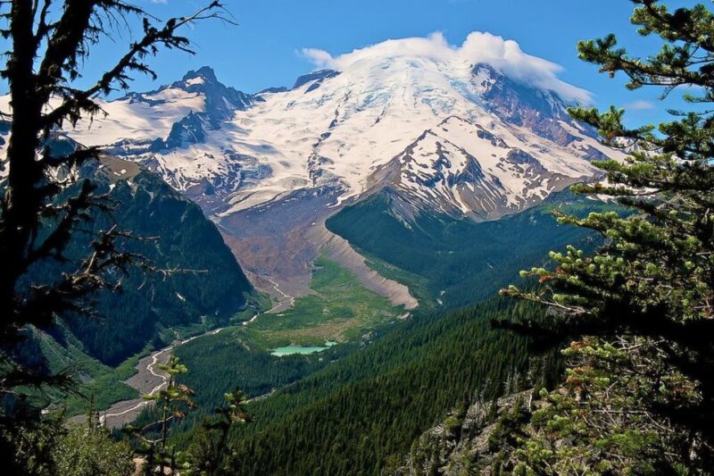 Seattle: Mount Rainier Park All-Inclusive Small Group Tour - Further Exploration and Wildlife Viewing