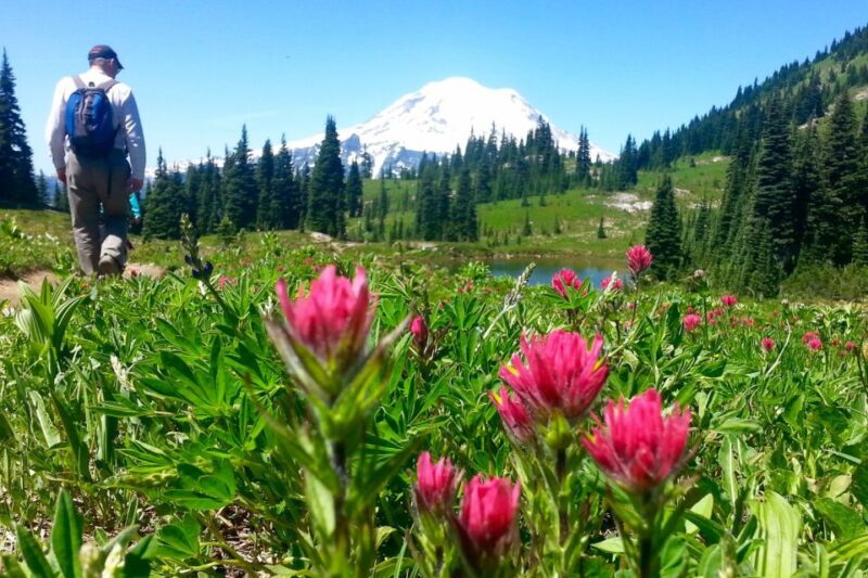 Seattle: Mount Rainier Park All-Inclusive Small Group Tour - Return and Drop-off
