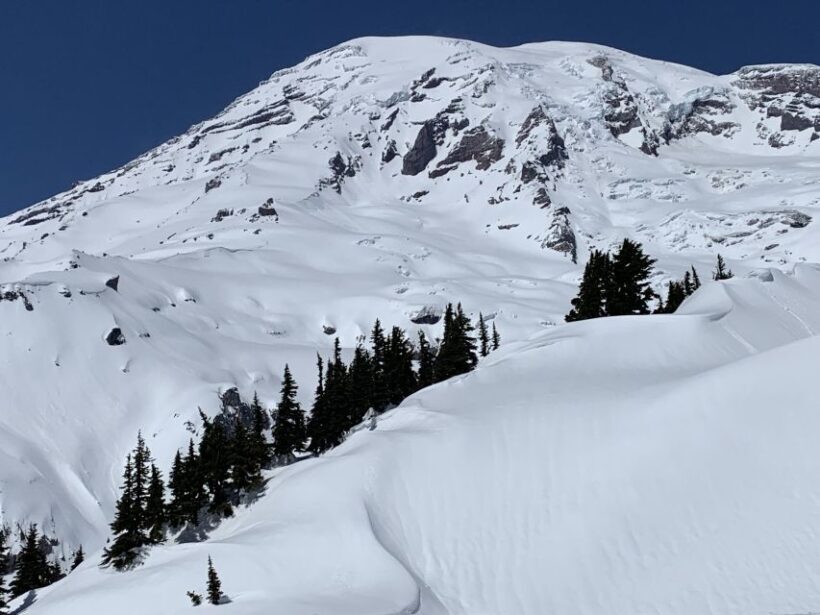 Seattle: Mt. Rainier Hiking w/ Waterfalls, Glaciers & Trees - Key Points: