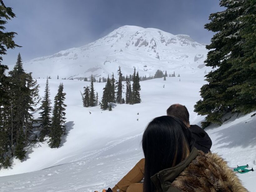 Seattle: Mt. Rainier Hiking w/ Waterfalls, Glaciers & Trees - The Experience of the Guides