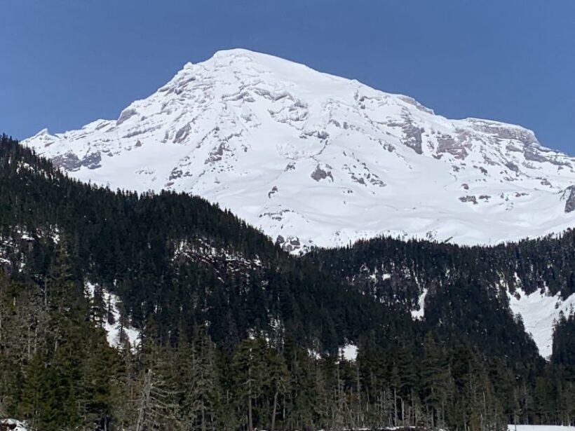 Seattle: Mt. Rainier Hiking w/ Waterfalls, Glaciers & Trees - Who Will Love This Tour?