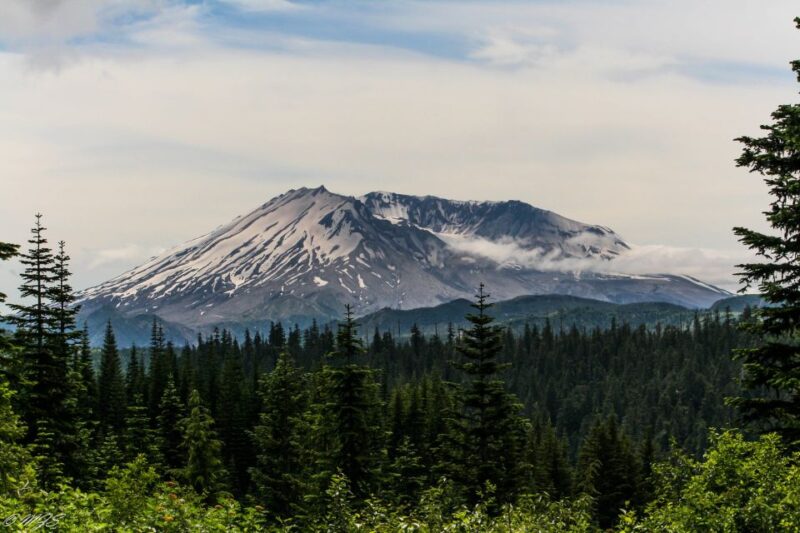 Seattle: Mt. St. Helens National Monument Small Group Tour - Frequently Asked Questions (FAQs)