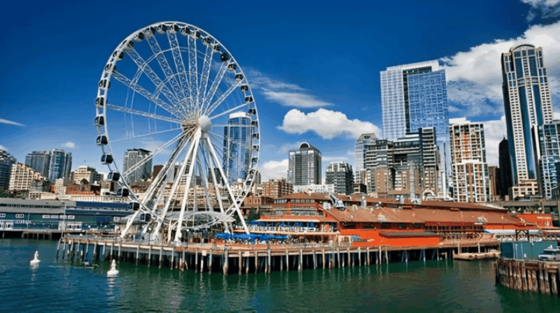Seattle : Must-See Attractions Walking Tour With A Guide - Who Will Love This Tour?