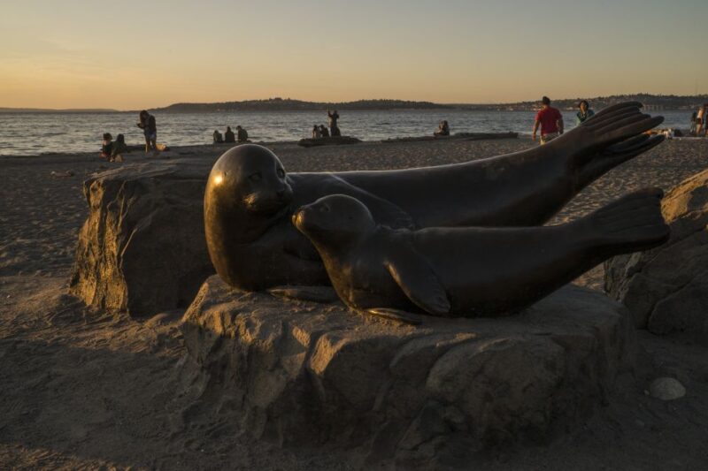 Seattle: Night Tour with Local Guide - Who Should Consider This Tour?