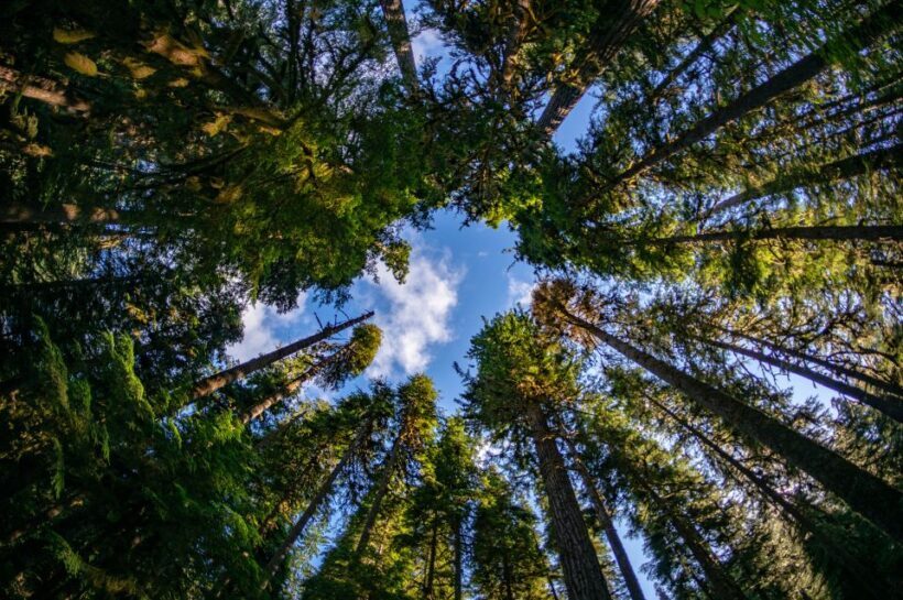 Seattle: Olympic National Park Small-Group Tour - Who Should Consider This Tour?