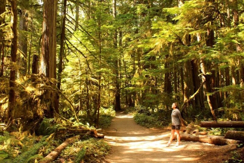 Seattle: Olympic National Park Small-Group Tour - Why This Tour Offers Great Value