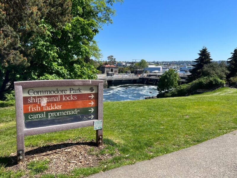 Seattle: Private 2.5 Hour Seattle City Tour - Experience and Value