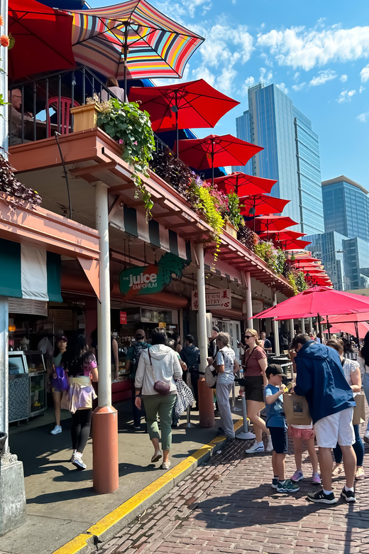 Seattle: Private 2.5 Hour Seattle City Tour - Who Will Love This Tour?