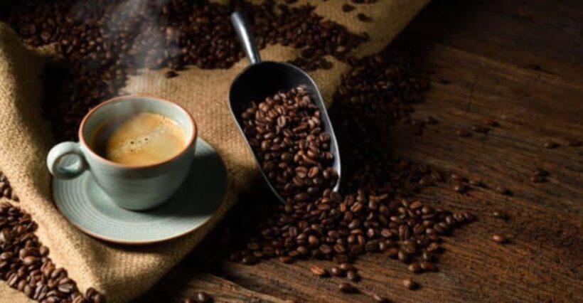 Seattle: Roasted in Seattle Ultimate Coffee Tour - Key Points