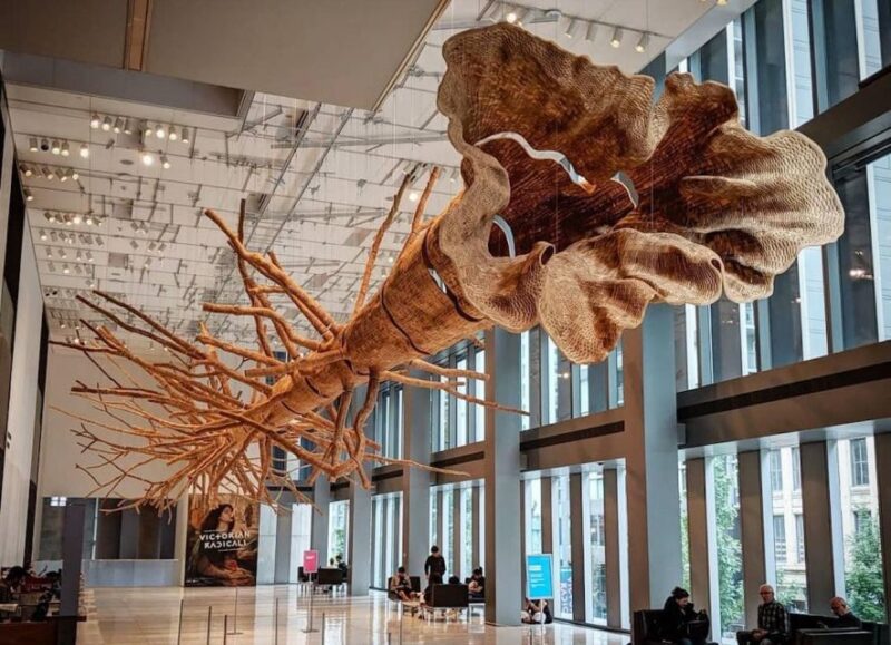 Seattle: Seattle Art Museum Admission Ticket - Who Will Love This Tour?