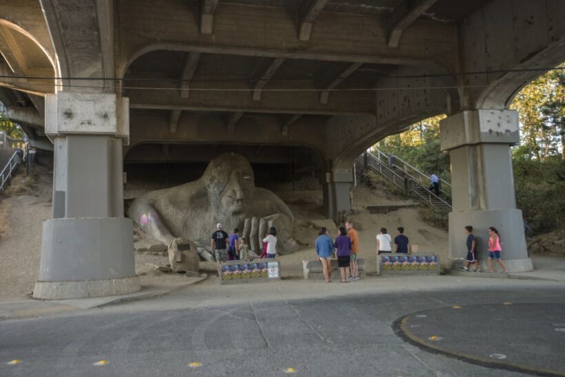 Seattle: Sightseeing Bus Tour with the Ballard Locks - Who Will Love This Tour?