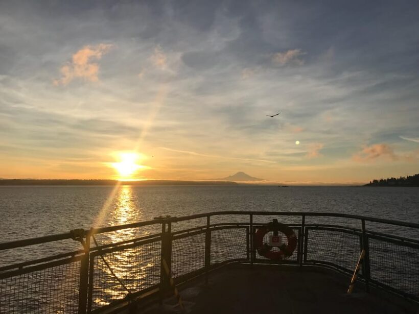 Seattle: Summer Views Cruise - An In-Depth Look at the Summer Views Cruise