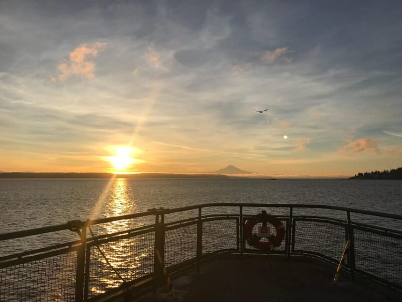 Seattle: Summer Views Cruise - The Value of the Experience