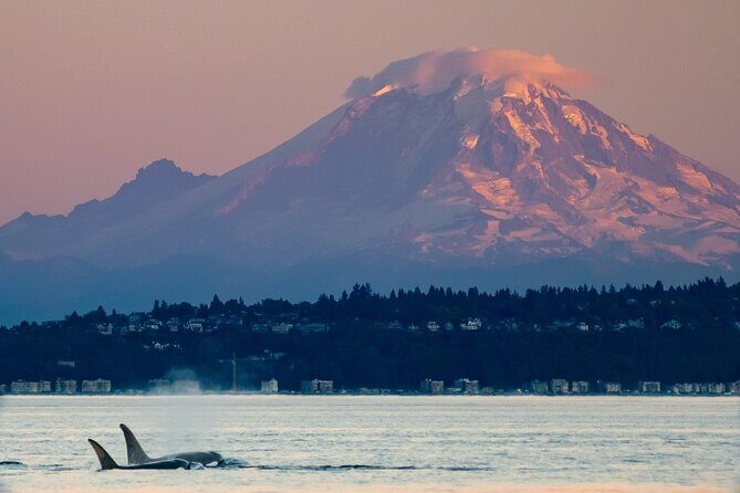Seattle Sunset Sail BYOB - FAQ