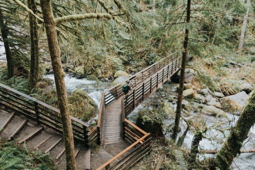 Seattle: Waterfall Wonderland Hike in Wallace Falls Park - Key Points