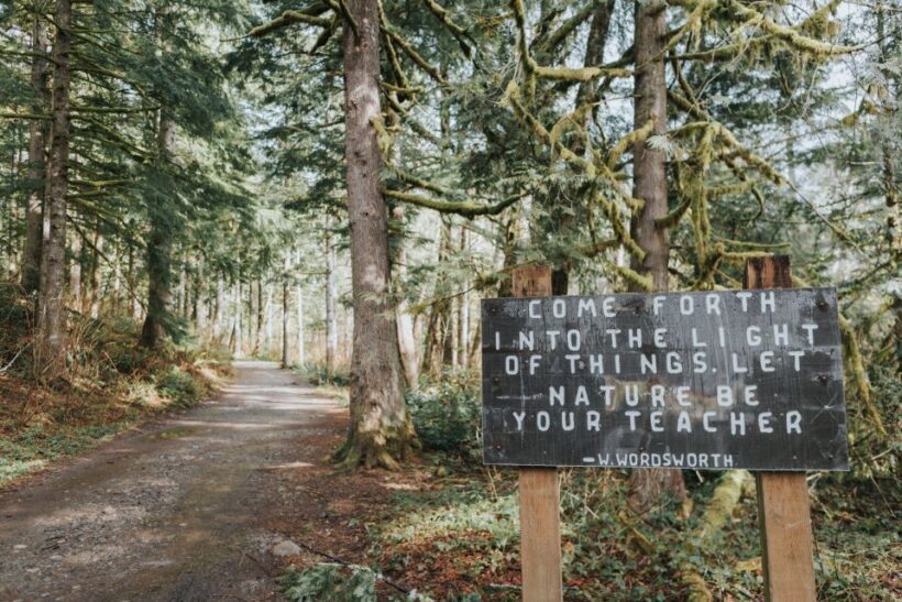Seattle: Waterfall Wonderland Hike in Wallace Falls Park - Food, Gear, and Comfort