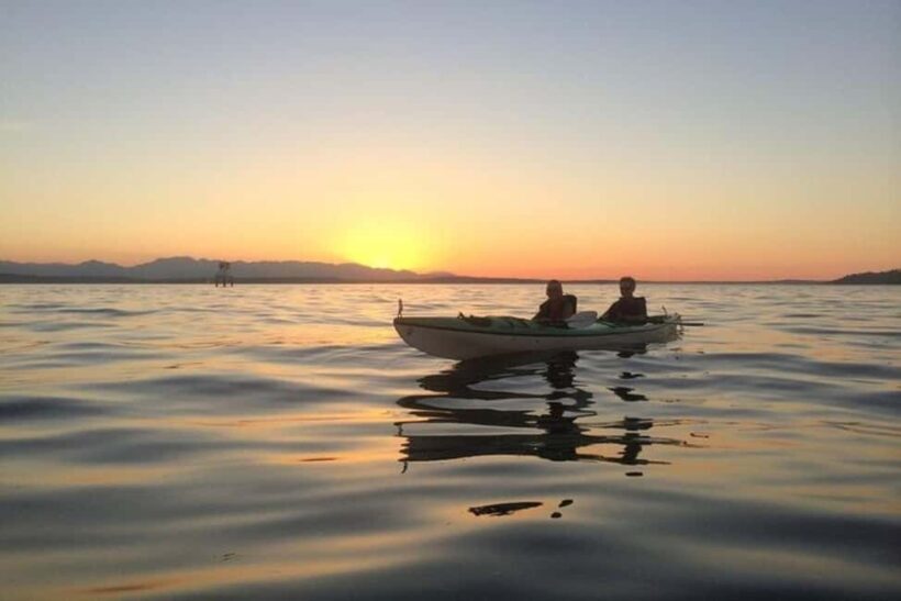 Seattle: West Seattle Sunset Sea Kayak Tour - Key Points