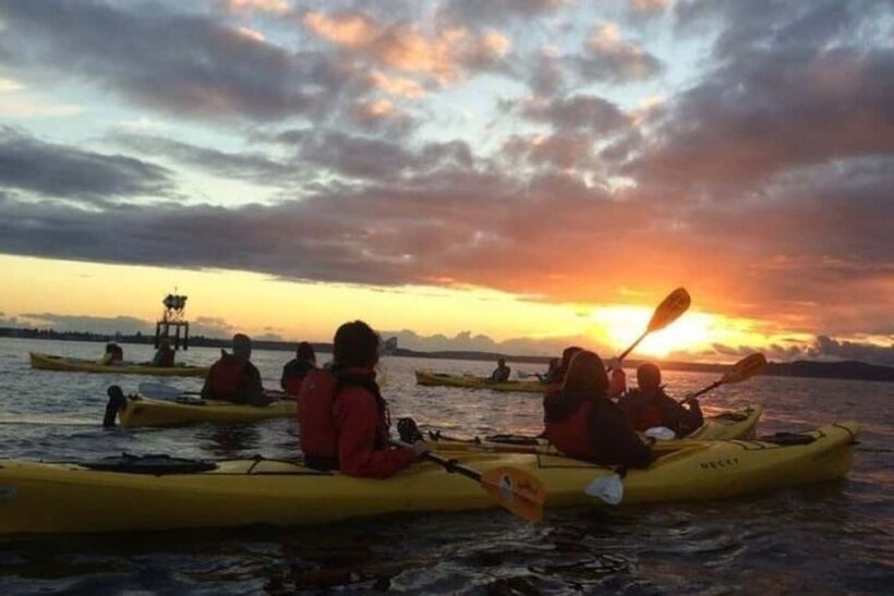 Seattle: West Seattle Sunset Sea Kayak Tour - An Engaging Introduction to the West Seattle Sunset Sea Kayak Tour