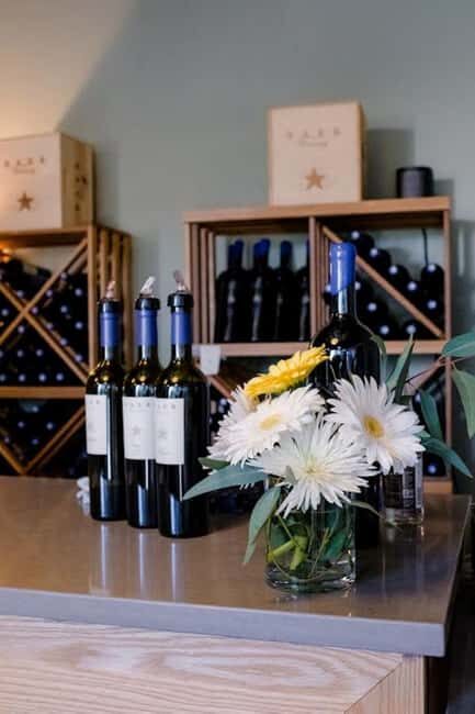 Seattle: Woodinville Guided Wine Tour with Optional Tastings - Final Thoughts: Is It Worth Your While?