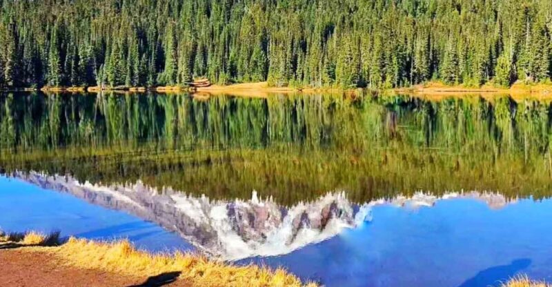 Seattle:Small Group Mount Rainier National Park 1-Day Tour - Final Thoughts