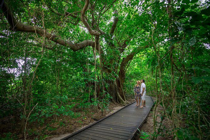 Seawalker Helmet Experience and Green Island Combo from Cairns - The Sum Up: Who Will Love This Tour?