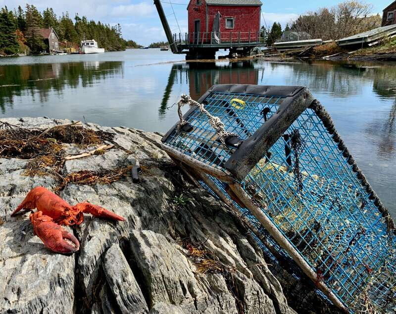 Seaweed Tours Lunenburg N.S Can UNESCO world heritage site. - Exploring Lunenburg with Seaweed Tours