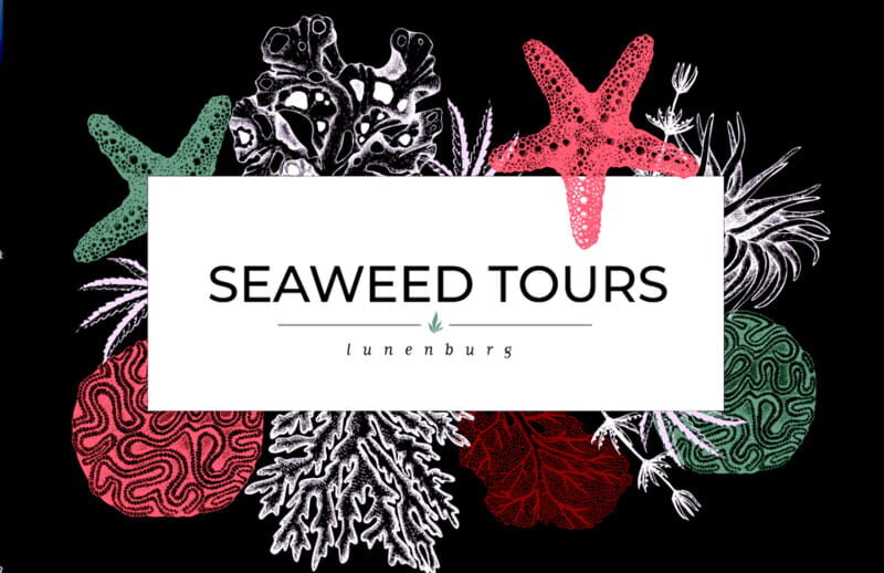 Seaweed Tours Lunenburg N.S Can UNESCO world heritage site. - Why This Tour Might Be Perfect for You
