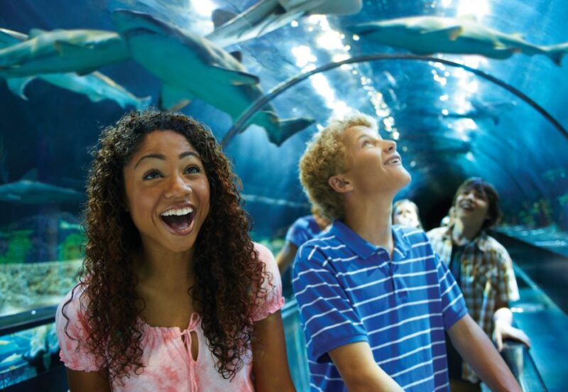 SeaWorld Orlando: Park Admission Ticket - The Practical Details: How It Works and What You Get