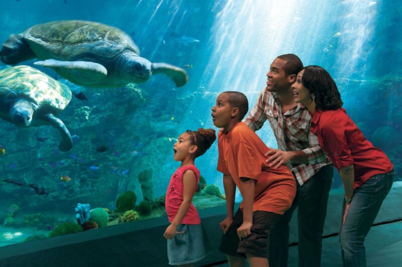 SeaWorld Orlando: Park Admission Ticket - The Experience from a Visitor’s Perspective