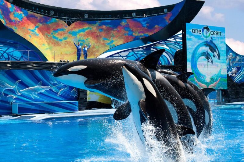 SeaWorld Orlando: Park Admission Ticket - FAQ