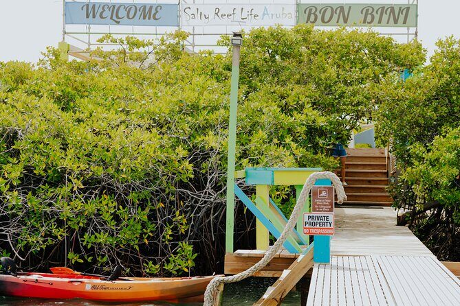 Secluded Relaxation at Aruba Private Reef Island-1/2 Day-Group 5 - Secluded Relaxation at Aruba Private Reef Island – A Practical Look