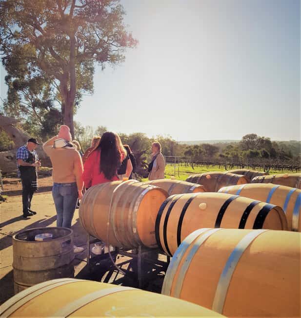 Secret Delights: Wine, Coffee, Artisan and Forest Tour - Authentic Encounters and Local Flavor