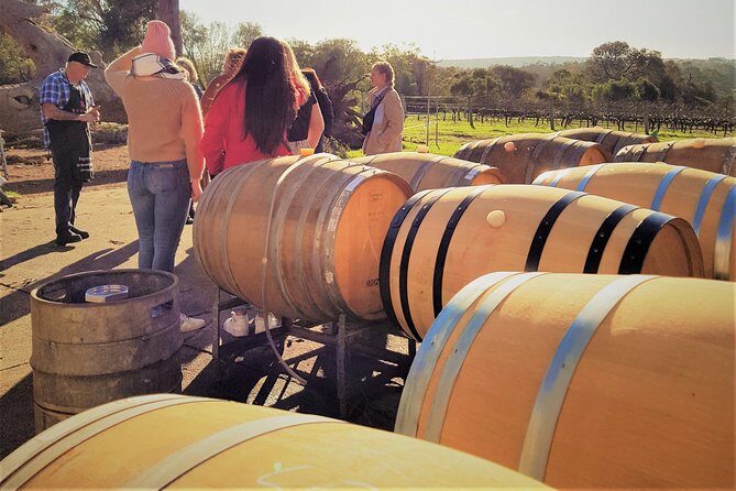 Secret Delights: Wine, Coffee, Artisan and Forest Tour - The Practicalities: What to Expect