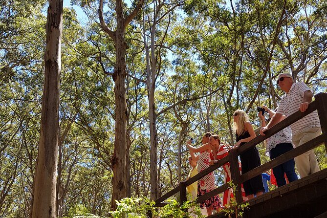 Secret Delights: Wine, Coffee, Artisan and Forest Tour - The Experience Through Travelers’ Eyes