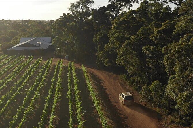Secret Delights: Wine, Coffee, Artisan and Forest Tour - Who Would Love This Tour?