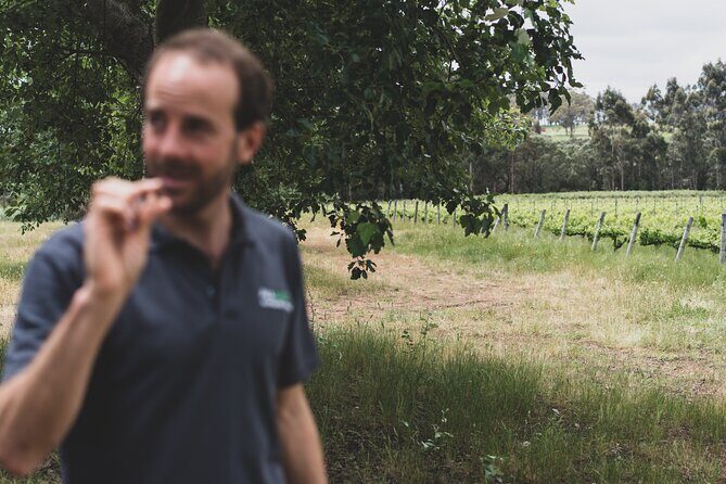 Secret Delights: Wine, Coffee, Artisan and Forest Tour - The Sum Up: An Authentic Taste of Margaret River