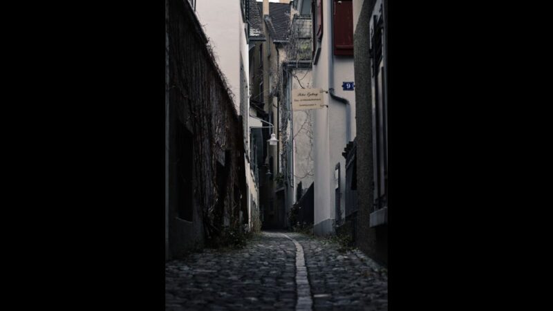 Secret Doors of Zurich Discovery Walk - Tour Overview