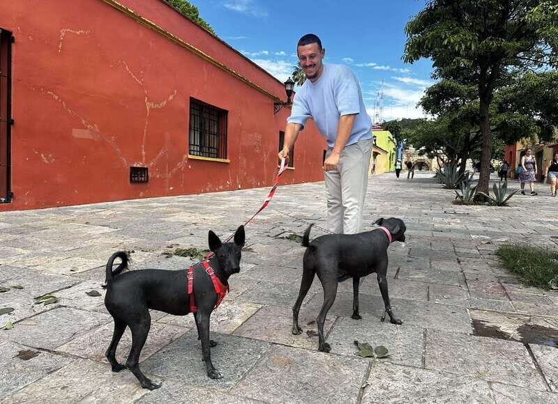Secret Food Tour: Oaxaca de Juárez - Practical Details and Value