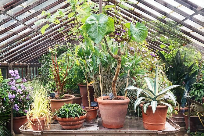 Secret Gardens of London Private Tour - Additional Information