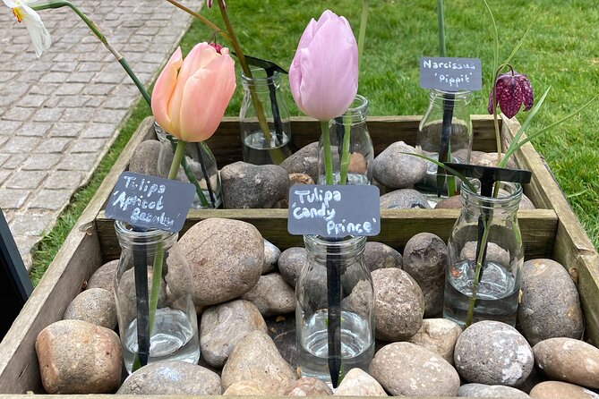 Secret Gardens of London Private Tour - Chelsea Physic Garden