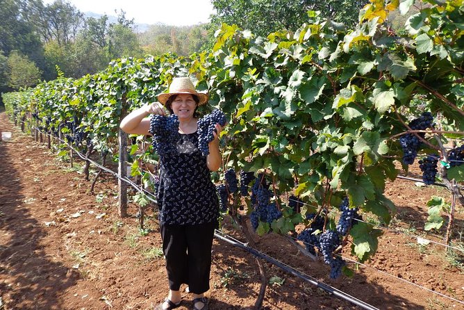 Secret gems of Montenegro in three days - FAQs