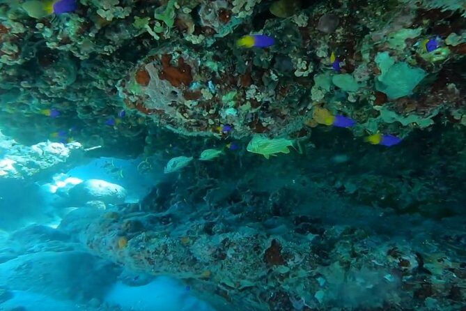 Secret Harbour Snorkel Trip from Cruise Ship - The Sum Up: Is It Worth It?