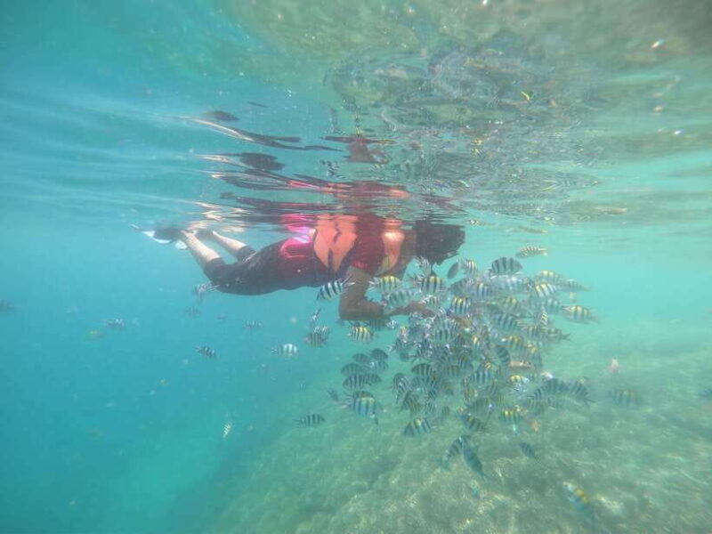 Secret Island Gili Nanggu, Sudak and Kedis Snorkeling tour - The Experience as Reported by Travelers