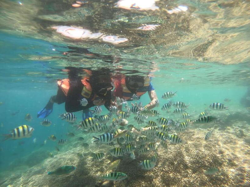 Secret Island Gili Nanggu, Sudak and Kedis Snorkeling tour - FAQs about the Gili Nanggu, Sudak, and Kedis Snorkeling Tour