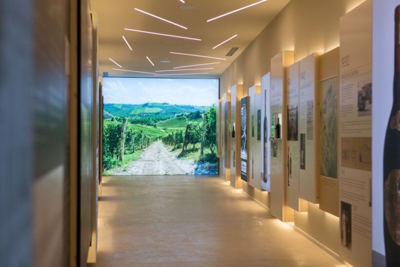 Secret journey between prosecco, lugana and white wines - Price and value analysis