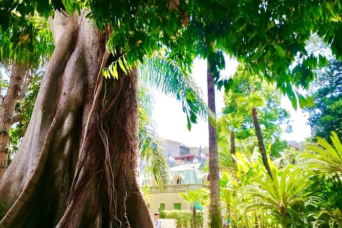 Secret Monaco : Hidden Gems, Art & Monumental Trees - Unique Experiences: Electric Solar Boat Ride