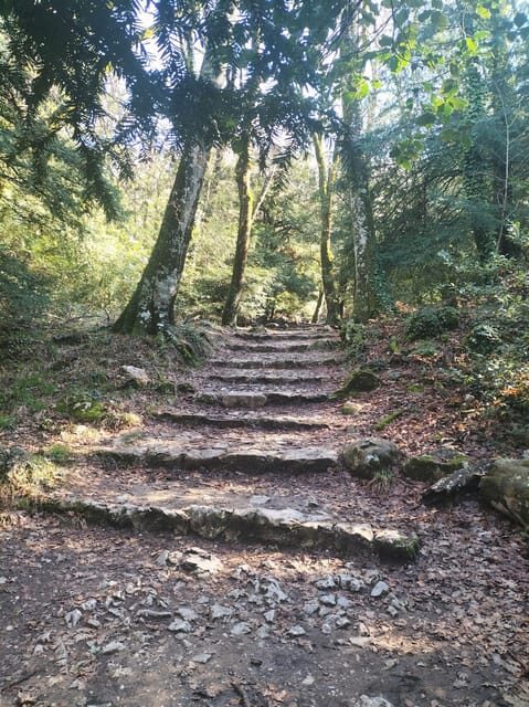 Secret Provence on Mary Magdalenes Path - Who Would Love This Tour?