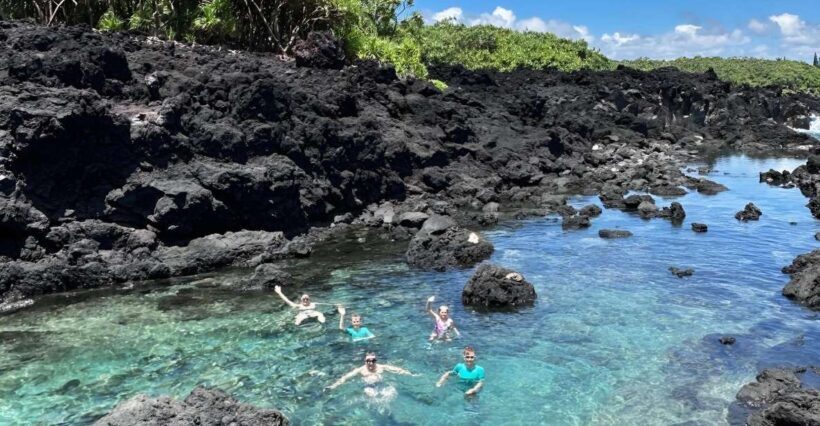 Secret Tide Pool Hike - Jungle & Coast - Private - A Closer Look at the Experience