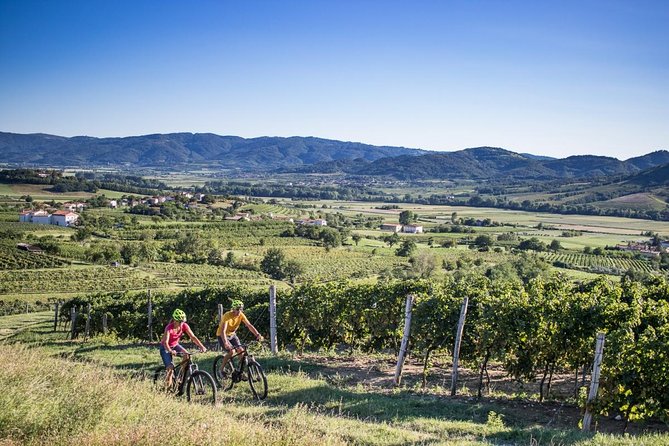 Secret vineyards E-bike tour - Key Points